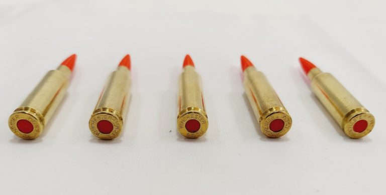 6.5 Creedmoor Brass Snap caps / Dummy Training Rounds (5 pack) - Lynx-ammo